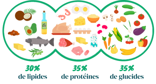 Qilibri Boost : programme de repas de perte de poids low carb